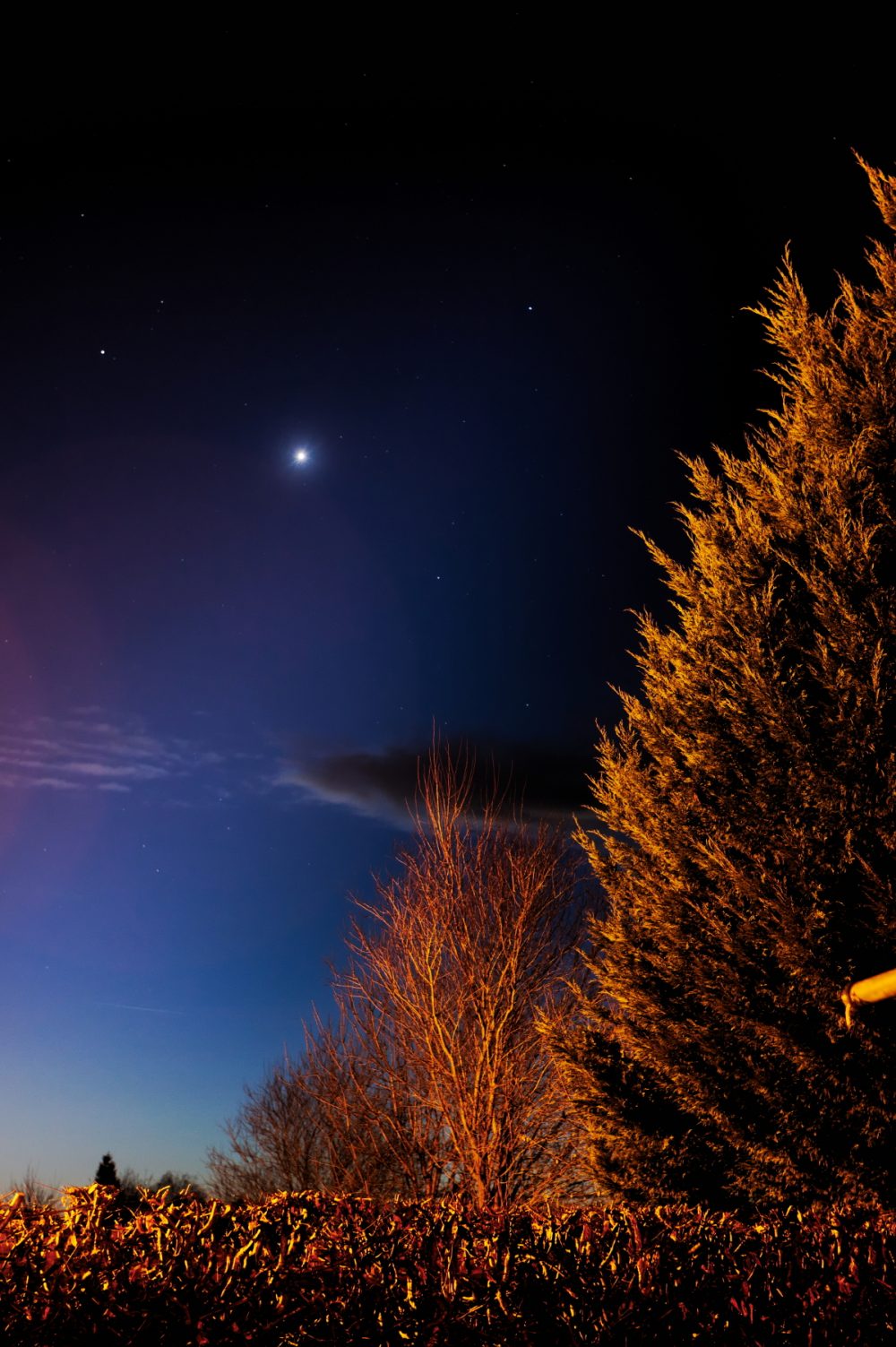Observing the impressive brightness of Venus, the Morning and Evening Star