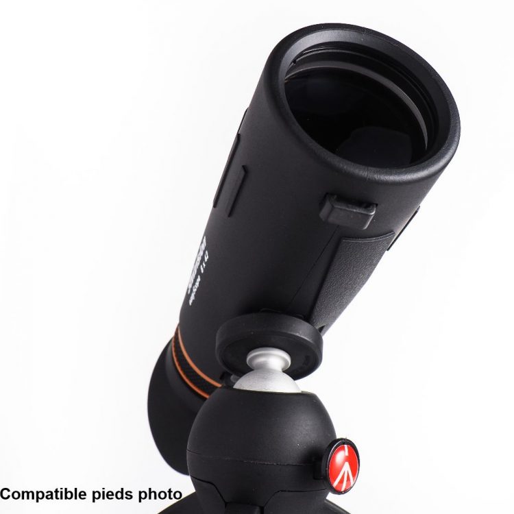 Monoculaire easyScope 8x42 : Stelvision