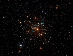 Stelvision - Vivez près des étoiles