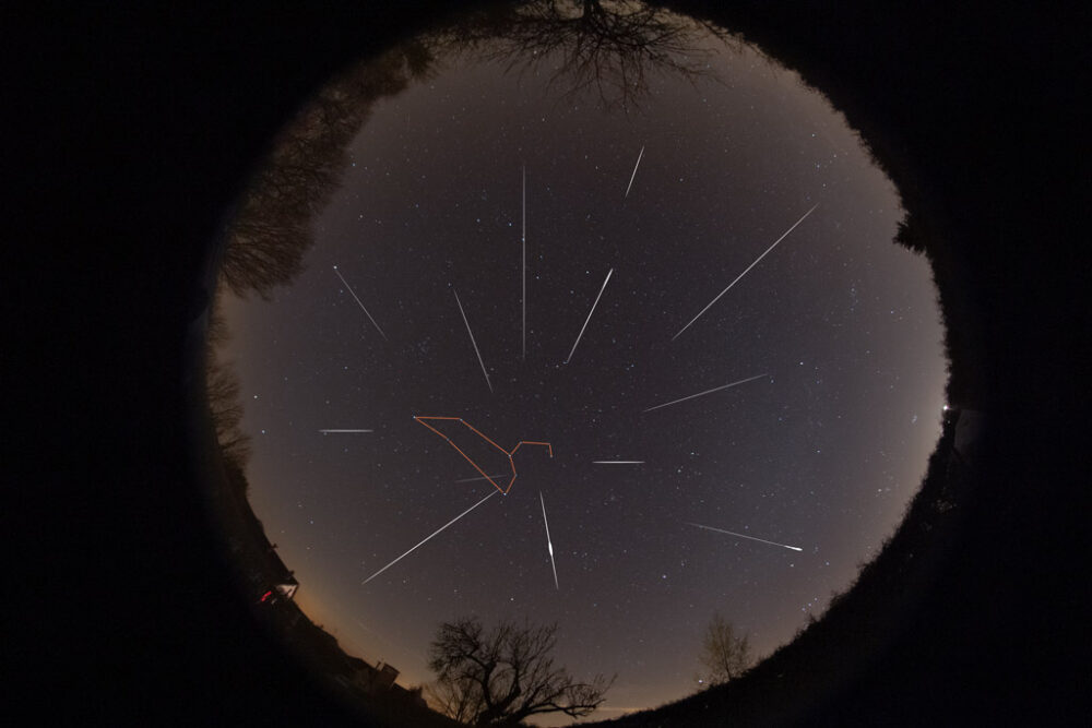 Observez les étoiles filantes des Léonides en novembre